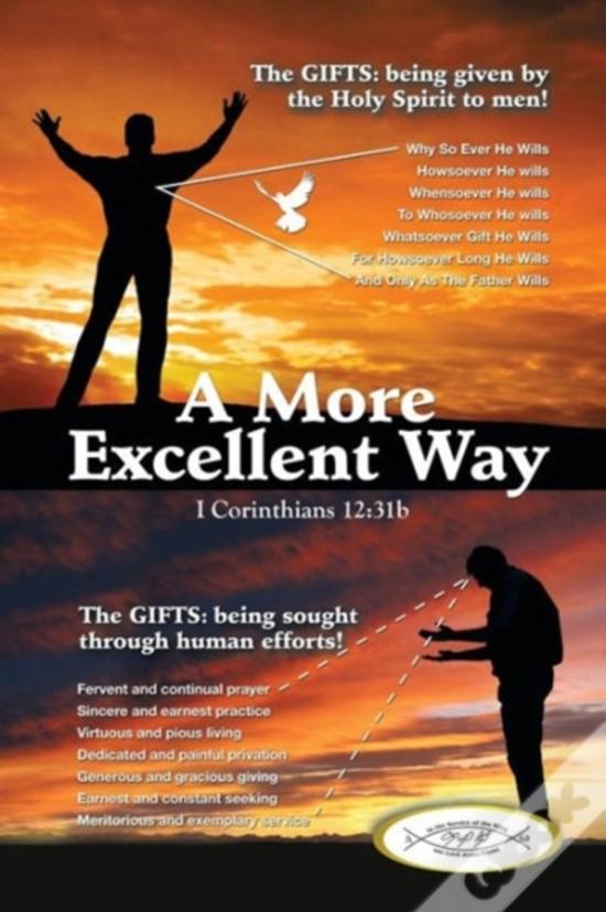 A More Excellent Way de Lowell D Grant - Livro - WOOK