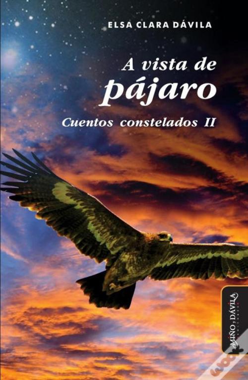 A Vista De Pajaro de Elsa Clara Dávila - Livro - WOOK