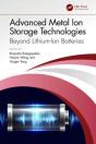 Advanced Metal Ion Storage Technologies - Livro - WOOK