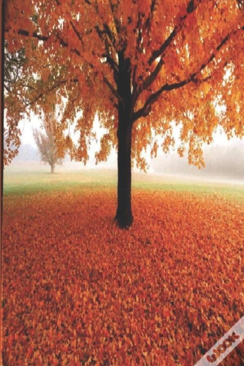 As Children Gather 'Round de Harmon Sherri Lynne Harmon - Livro - WOOK