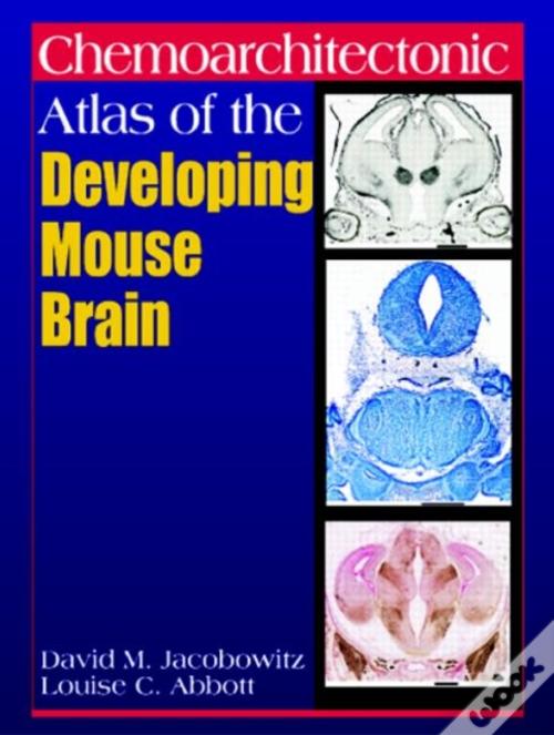 Chemoarchitectonic Atlas Of The Developing Mouse Brain de David M ...