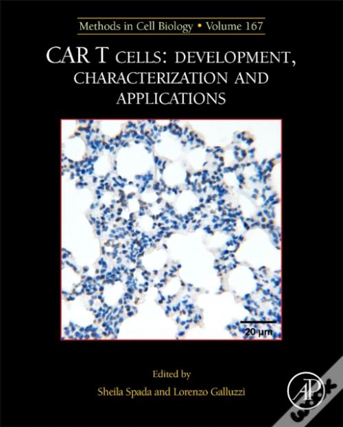Mcb: Car T Cells: Development, Characterization And Applications ...