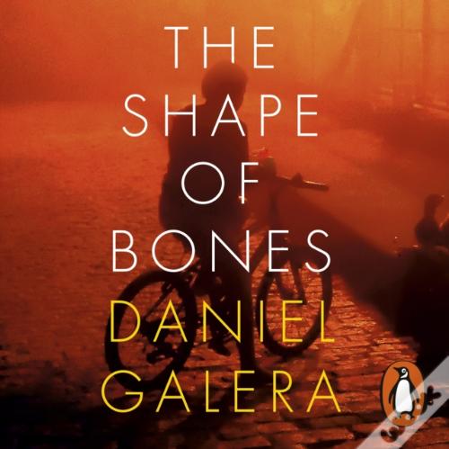 Shape Of Bones de Daniel Galera - Audiolivro - WOOK