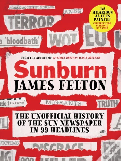 Sunburn - Livro - WOOK