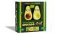 Throw Throw Avocado (EN) - Jogos e brinquedos - WOOK